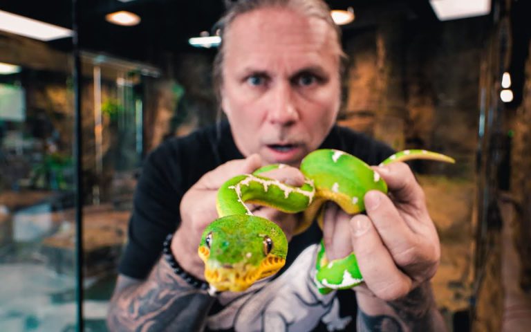 缅怀布莱恩（Brian Barczyk） | ReptileStar