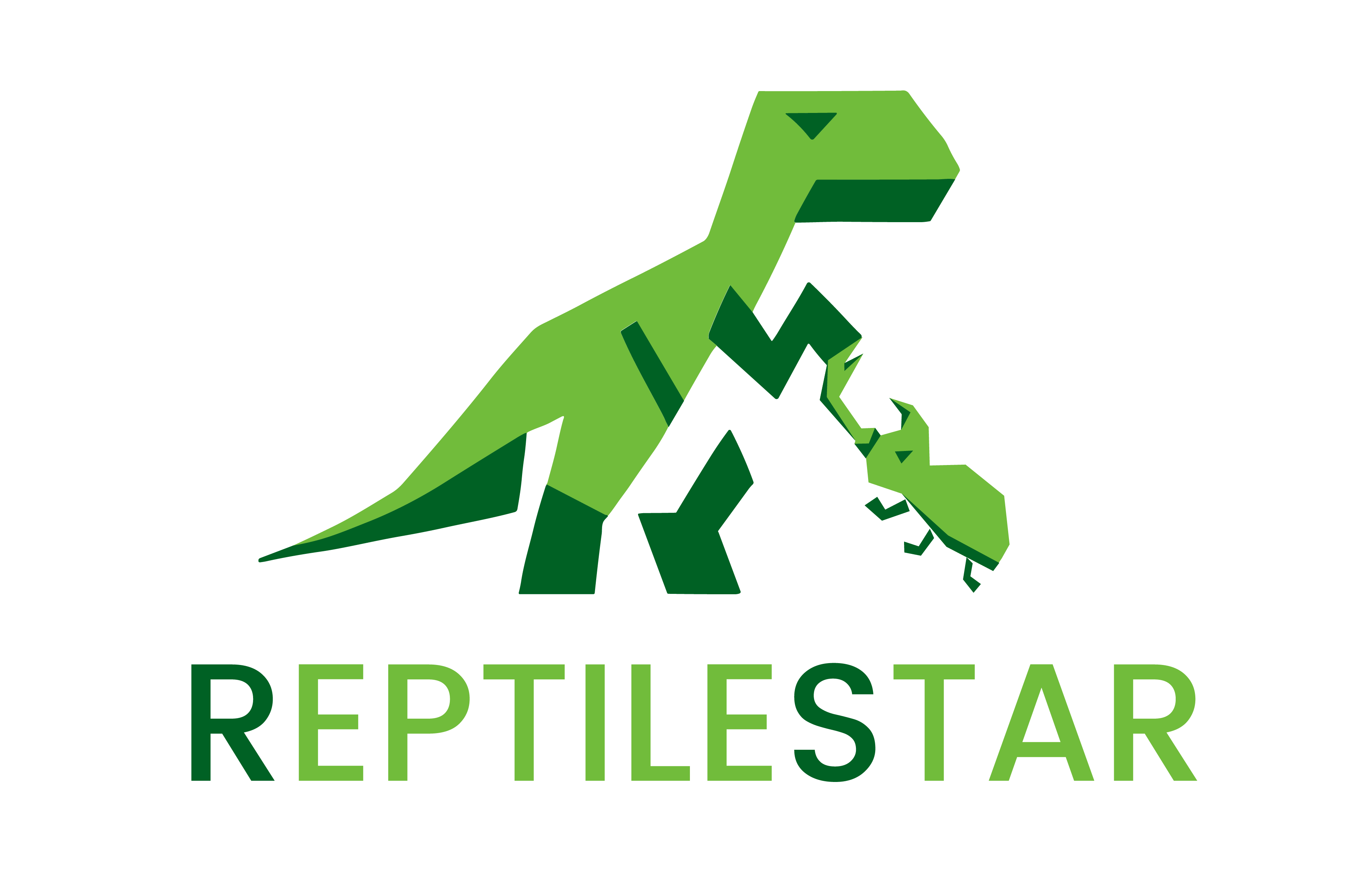 苏门答腊巨扁锹甲的详细饲养指南 | ReptileStar